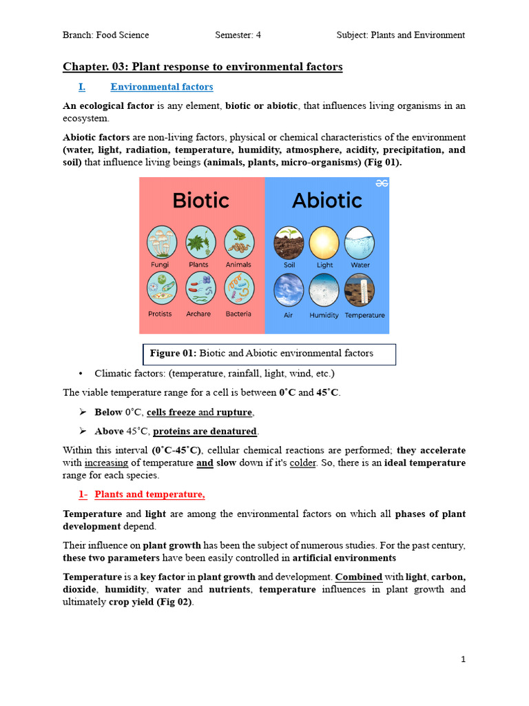 Chapter 3. (Plants and Environment) | PDF | Photosynthesis | Root