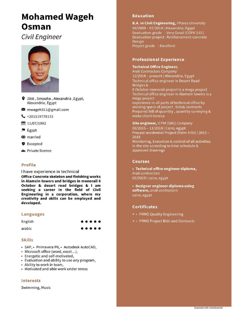 Mohamed Wageh CV | PDF