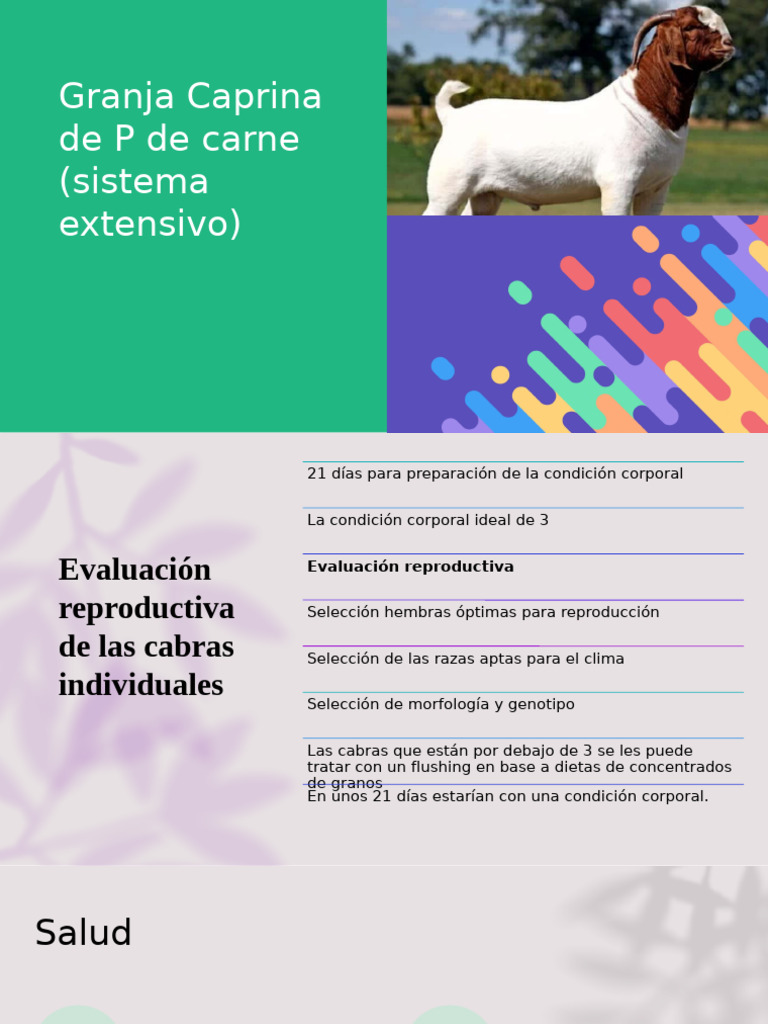Granja Caprina Sistema Extensivo | PDF | Agua | Parasitismo