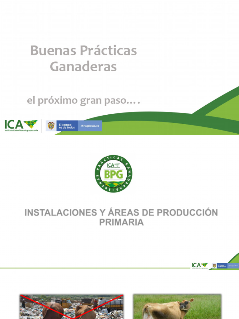 Taller BPG Leche Virtual Modulo 6 | PDF