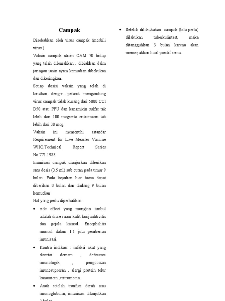 Leaflet Campak | PDF