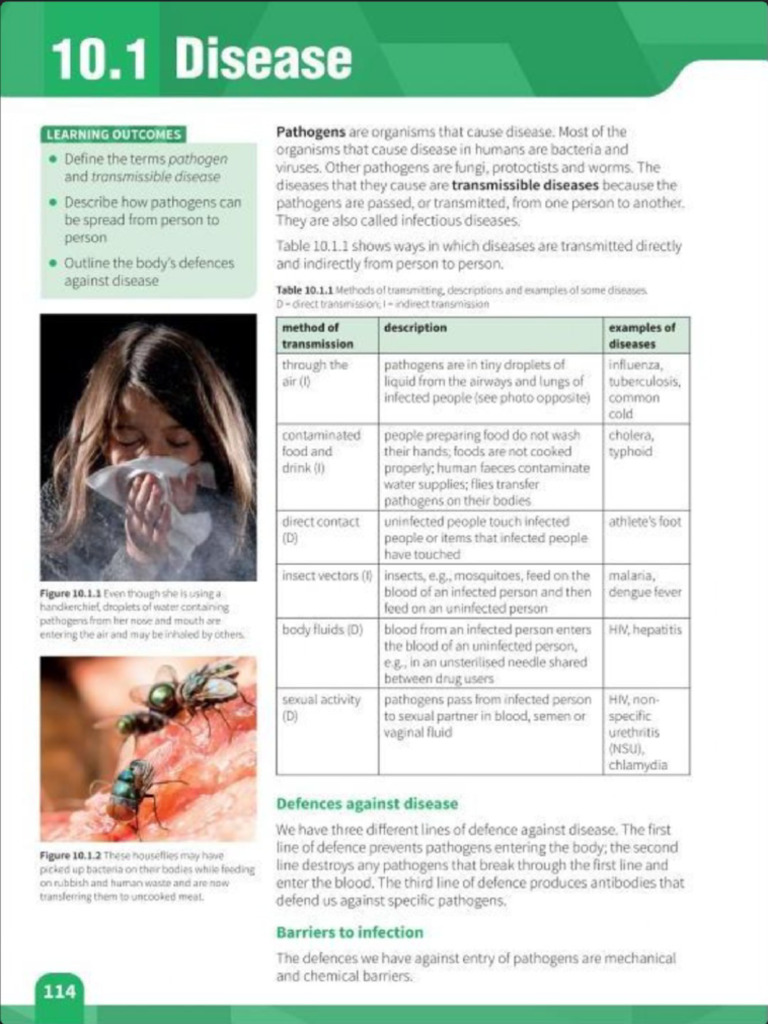 Unit 10 Igcse Book | PDF