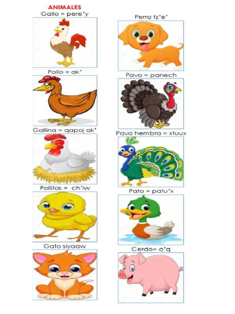 Animales en Poqoman | PDF