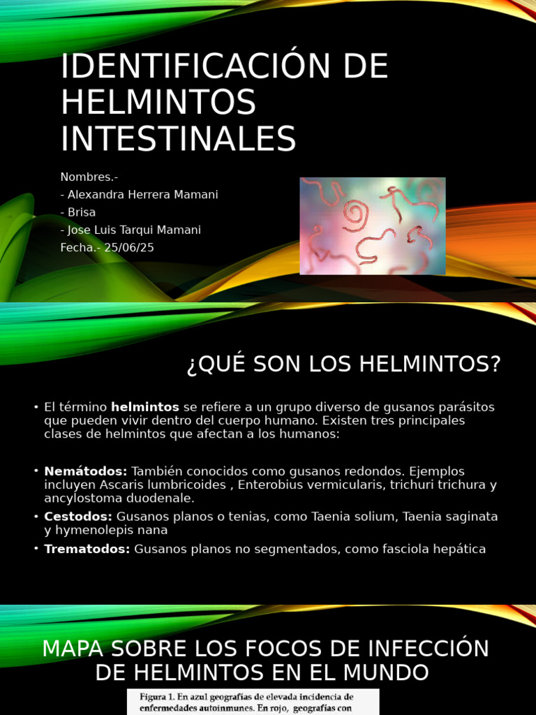 Identificación de Helmintos Intestinales | PDF | Enfermedades y ...