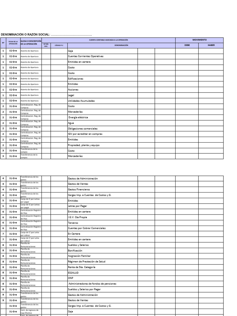 2-Formato 5.1 Libro Diario - Mon - 2025 | PDF | Activo fijo | Salario