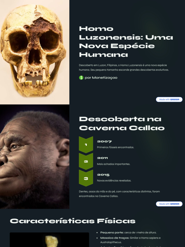 Homo Luzonensis Uma Nova Especie Humana | PDF