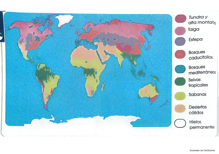 Biomas Del Mundo | PDF