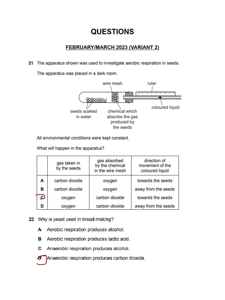 Exam Questions and Answers 2023 | PDF