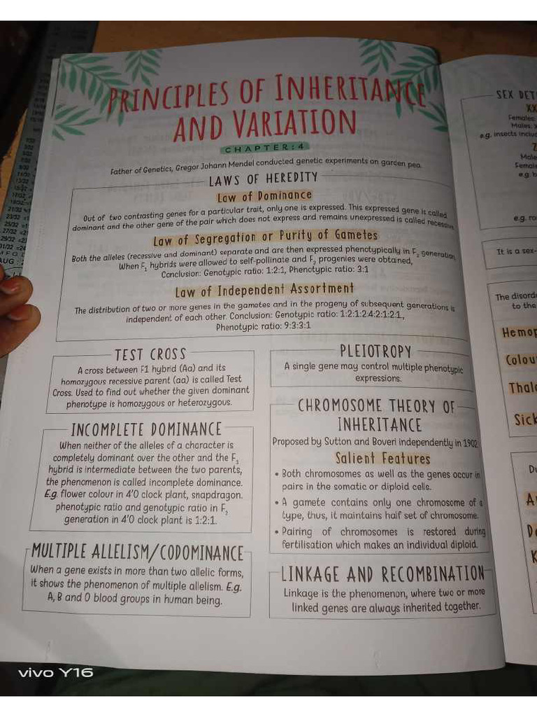 Principles of Inheritance and Variations Short Notes | PDF