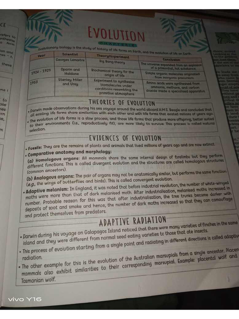 Evolution Short Notes | PDF