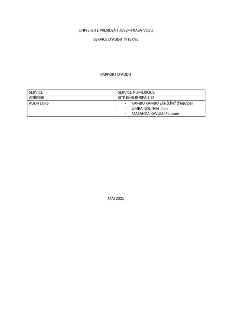 Rapport D'audit | PDF