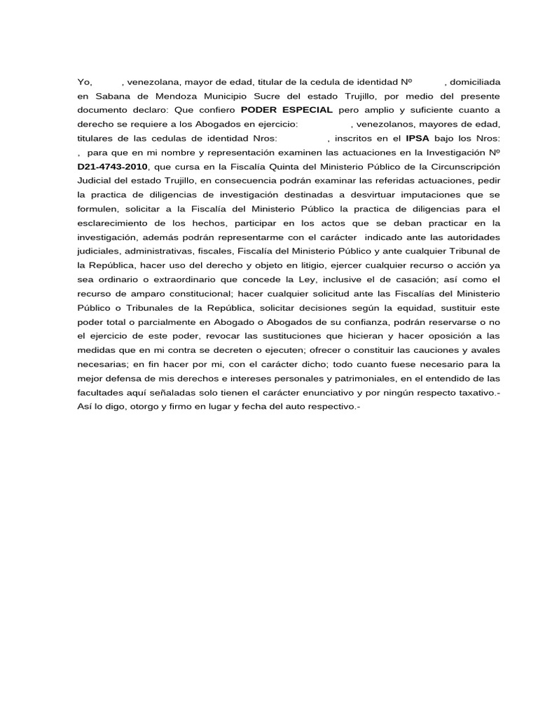 Modelo Poder Especial | PDF