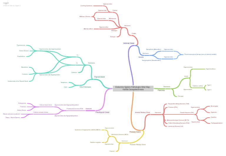 Endocrine System Pathologies Mind Map | PDF | Endocrine System ...