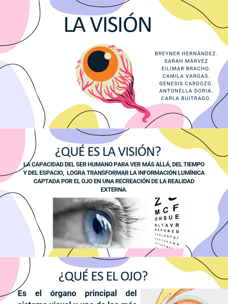Conexión Ojo-Cerebro y Visión | PDF | Percepción visual | Ojo