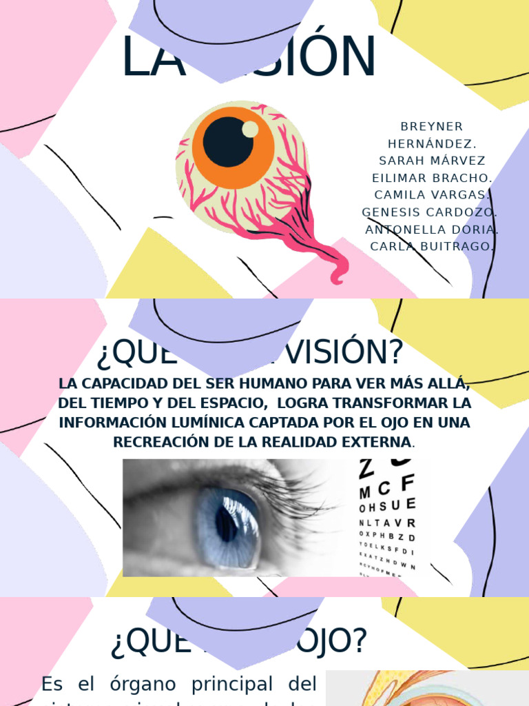 LA - VISION - SARAH (2) Lista | PDF | Percepción visual | Ojo