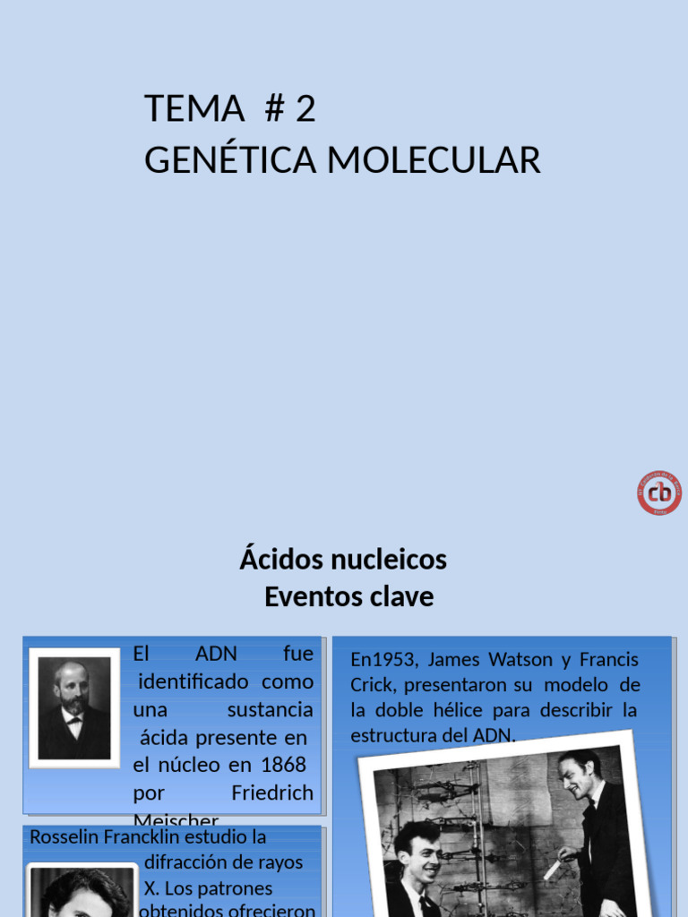 TEMA # 5 Genetica Molecular | PDF | Rna | Adn