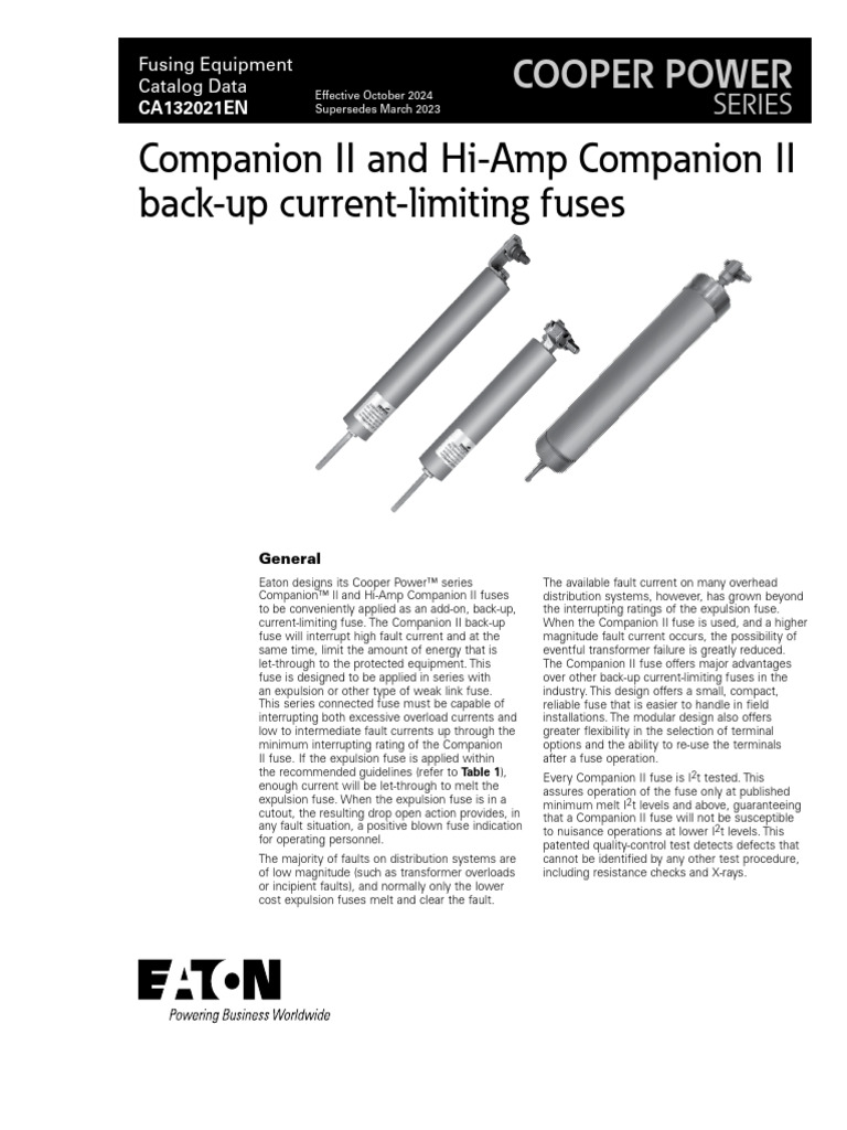 Companion II Back-Up Fuses Overview | PDF | Fuse (Electrical) | Transformer