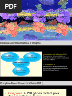 Cours Typage HLA, Cours D'immunologie. | PDF | HLA (antigène ...