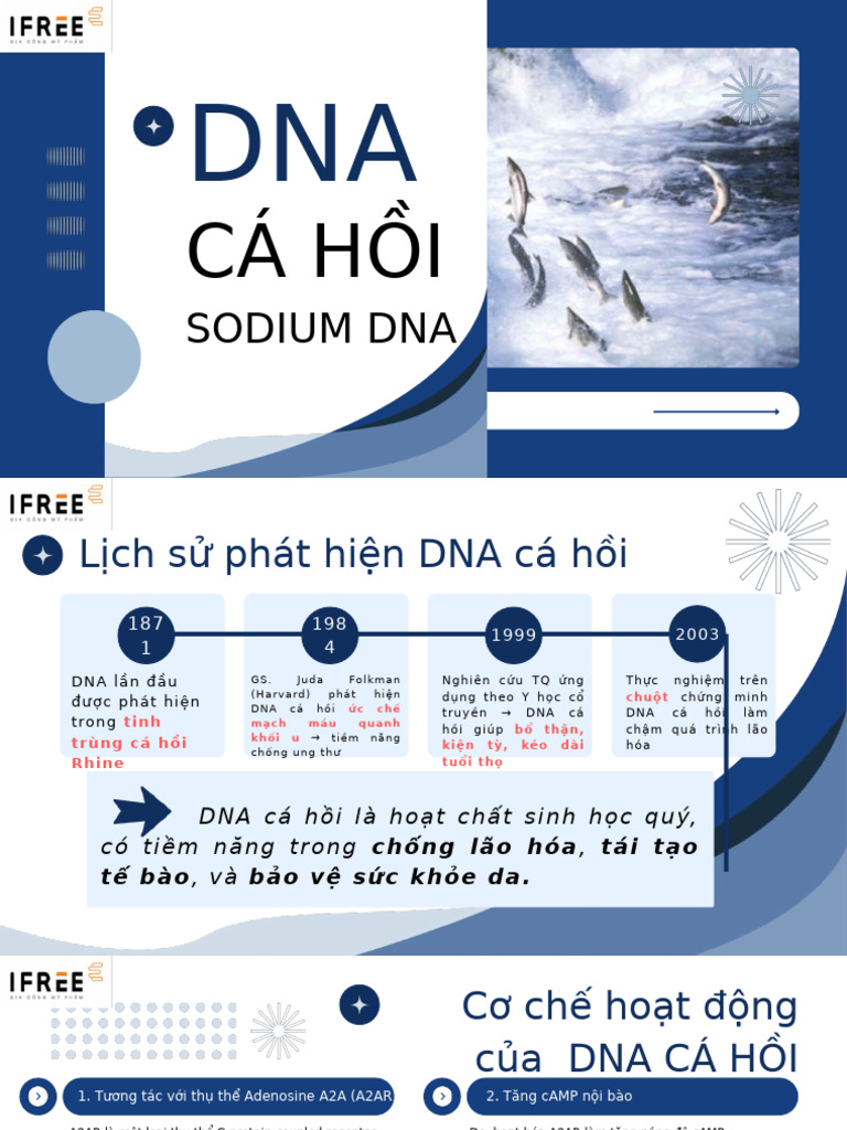 Sodium Dna | PDF