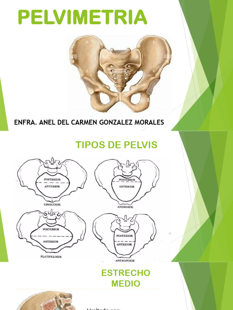 Pelvimetria Ane | PDF