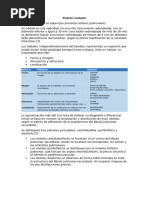 Pruebas de Bostezo en Rodilla | PDF | Rodilla | Medicina CLINICA