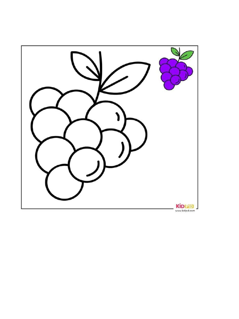 Uvas para Pintar | PDF