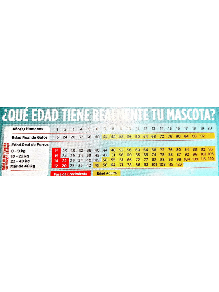 Tabla Edades Perros | PDF