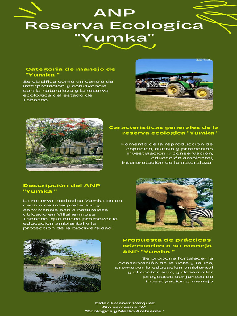 Infografia ANP Yumka (Elder) | PDF