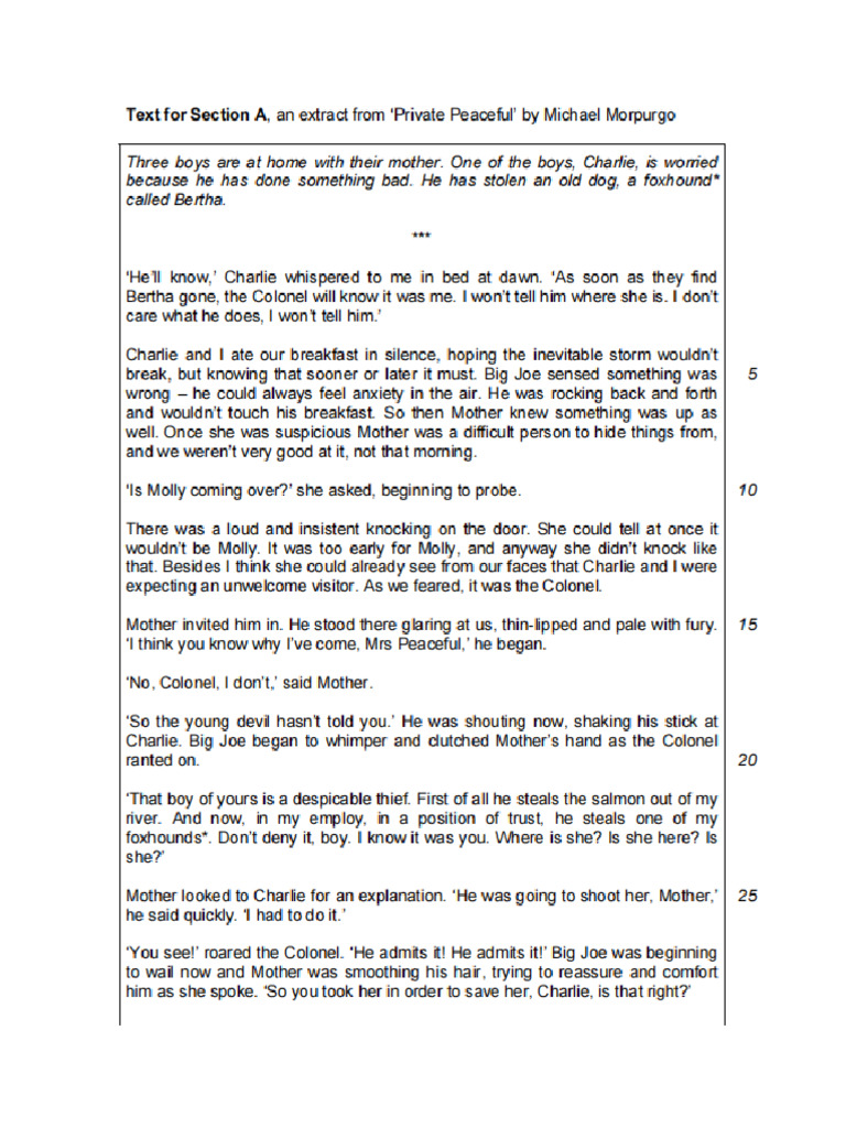 PYP Revision Y5 | PDF