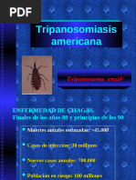 Triatominos: Vectores de Chagas | PDF | Biología
