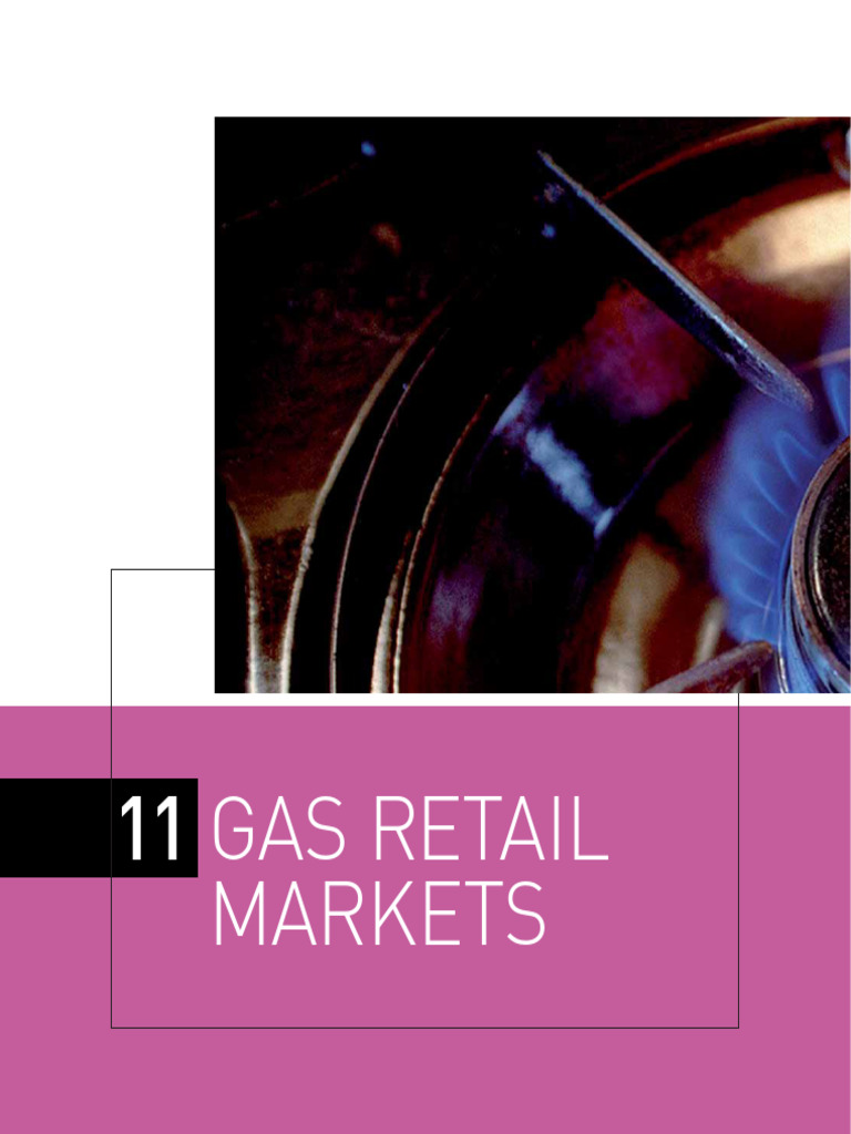 Chapter 11 Gas Retail Markets 2007 | PDF | Natural Gas | Economies