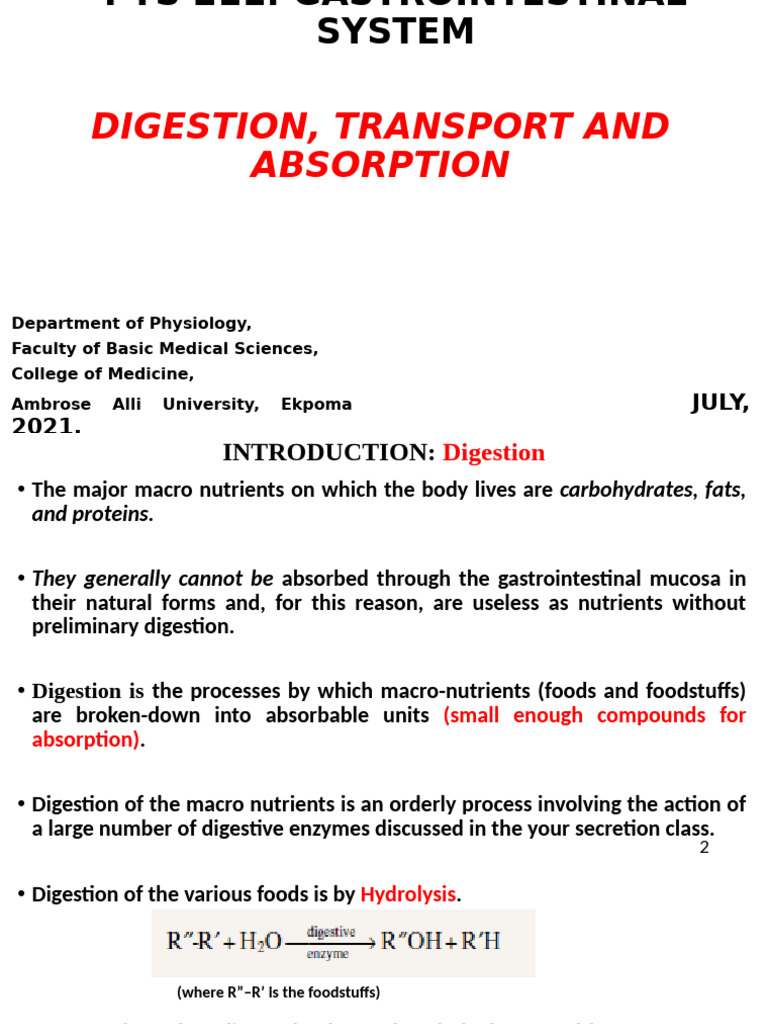 Lecture Slide On GIT Digestionabsorption | PDF