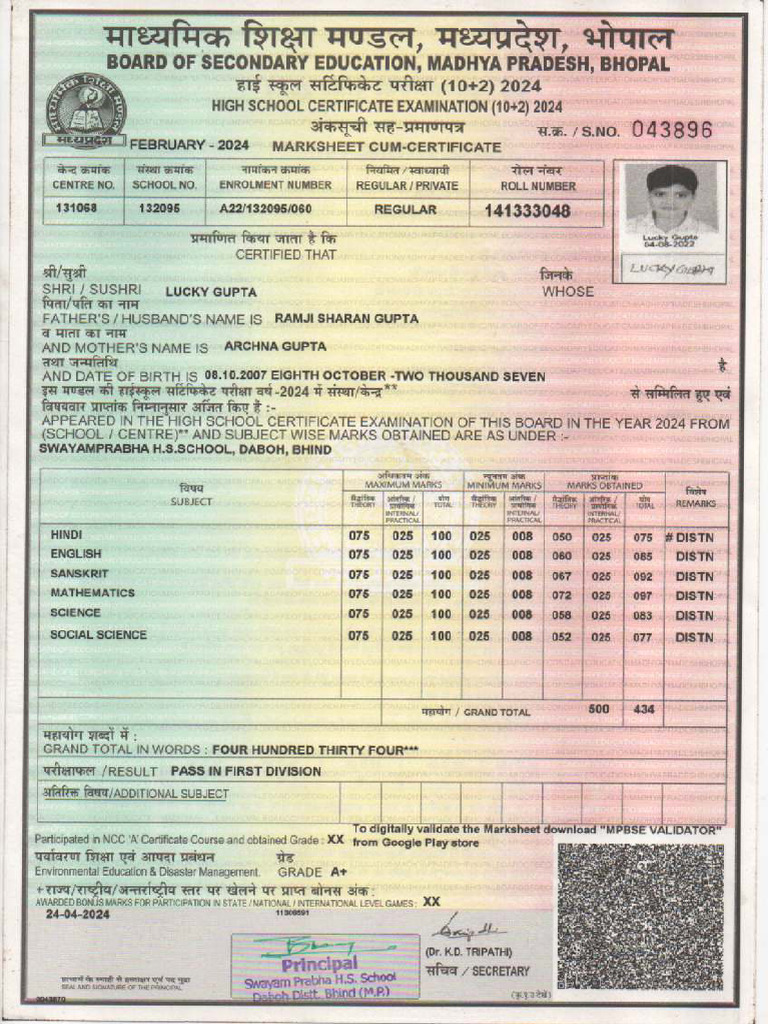 Board Certificate | PDF