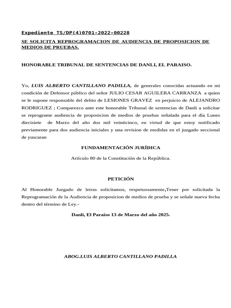 Solicitud de Reprogramacion de Audiencia Tribunal de Sentencias | PDF | Gobierno | Ley Pública