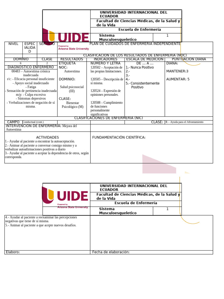 Modelo Cuadro NANDA, NIC, NOC - 7824073 | PDF | Enfermería | Autoestima