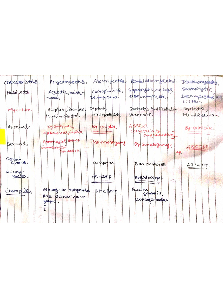 11th Biology Kingdom Fungi Classification Table | PDF