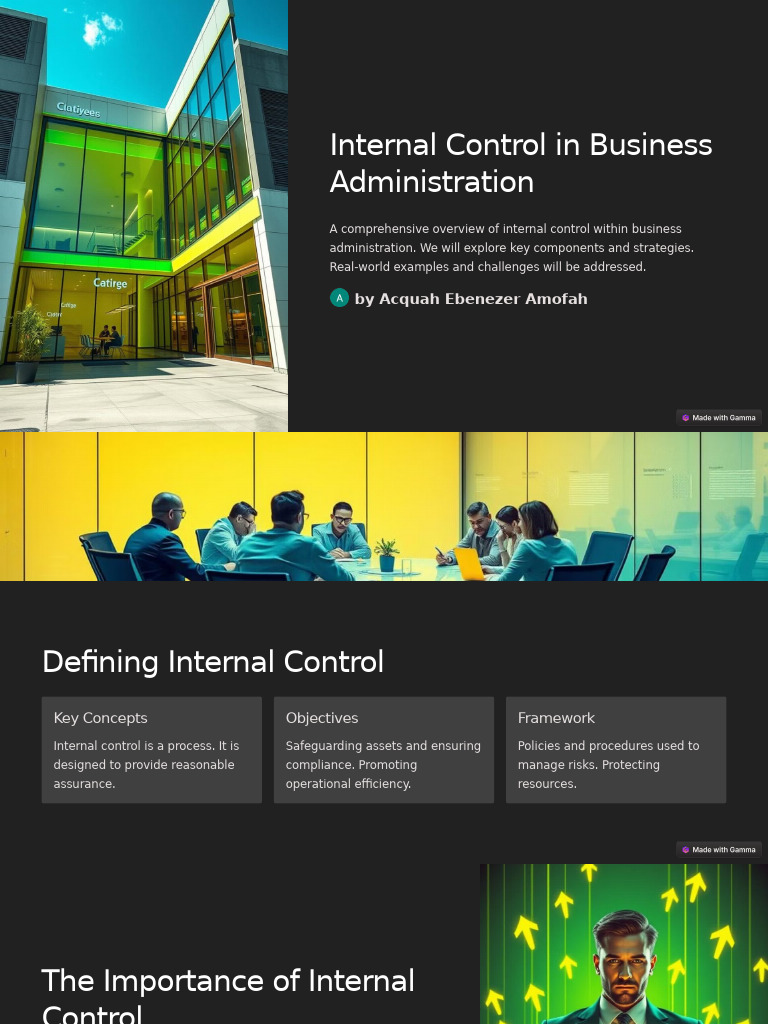 Internal Control in Business Administration | PDF