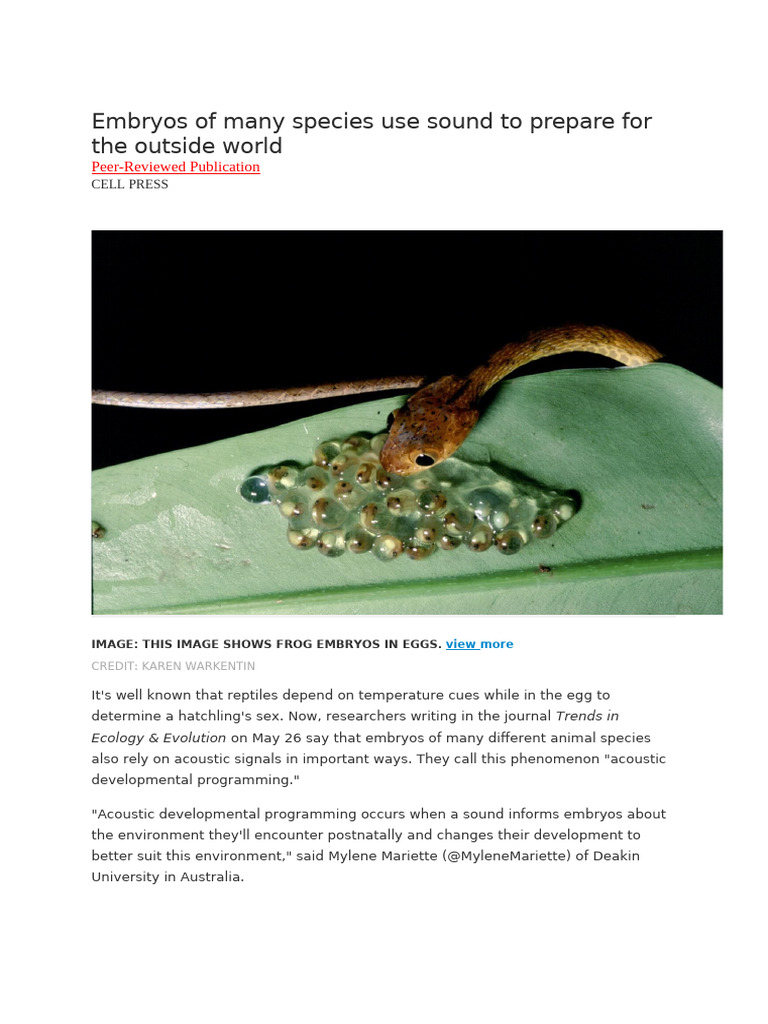 Embryos of Many Species Use Sound To Prepare For The Outside World | PDF