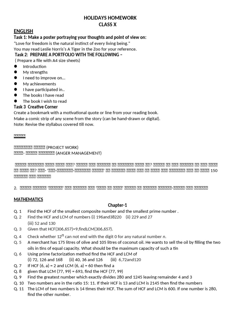 Summer Holidays Homework Class 10 (2025) | PDF | Mirror