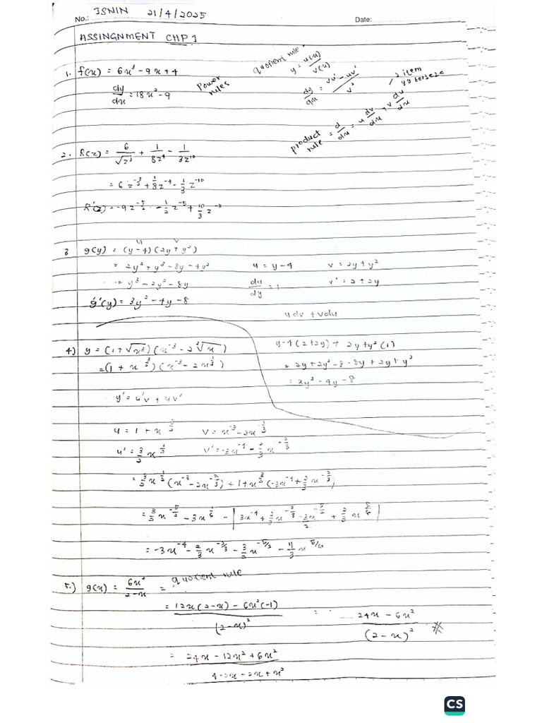 Assignment Calculus | PDF