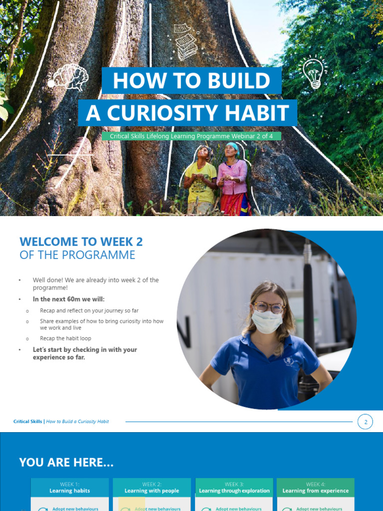 Building a Curiosity Habit | PDF | Mindset | Curiosity