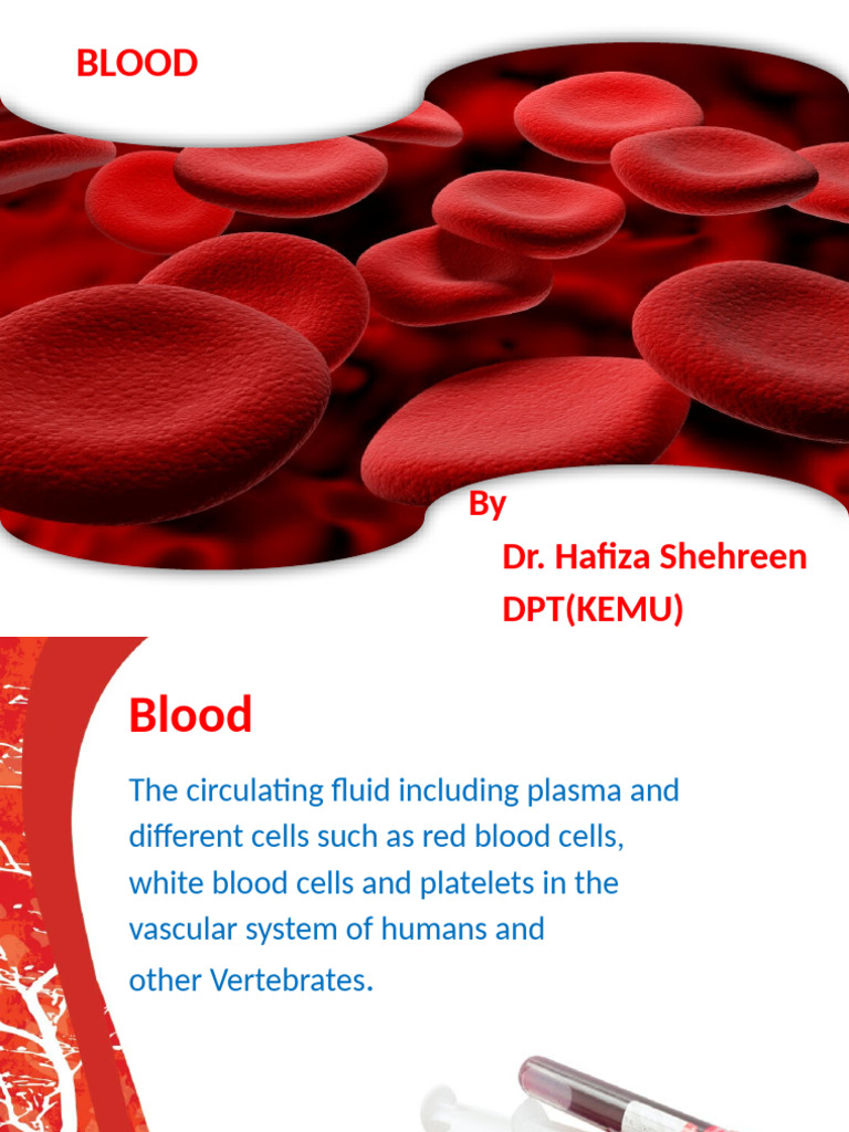 Understanding Blood: Functions and Components | PDF | White Blood Cell ...