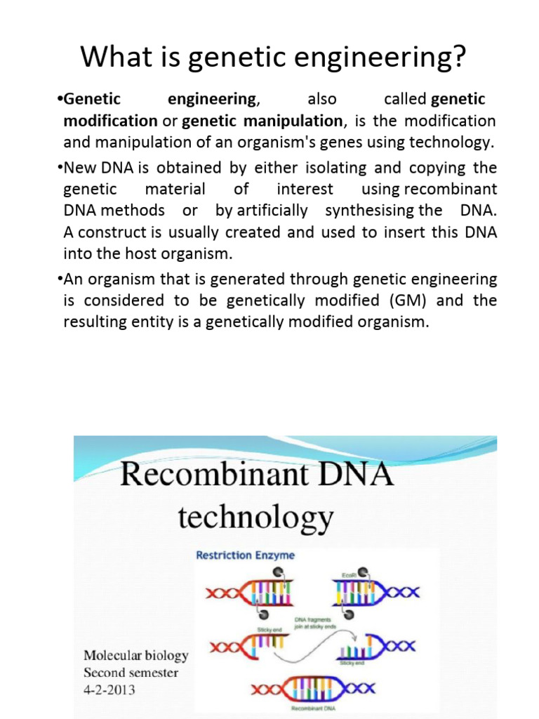 Understanding Genetic Engineering Basics | PDF