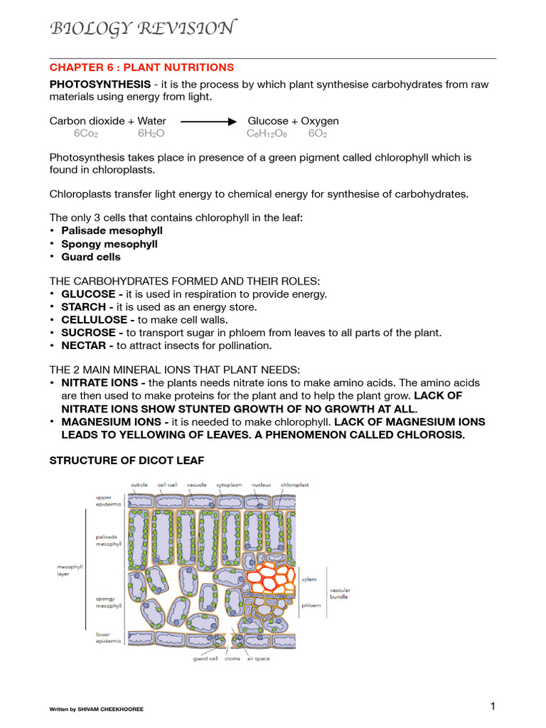 Biology Chapter 6 Plant Nutrition | PDF | Leaf | Photosynthesis