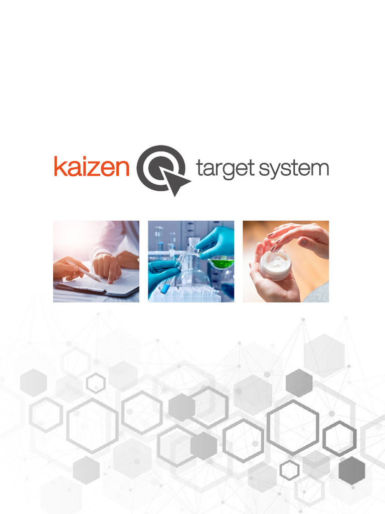 Kaizen Target System | PDF