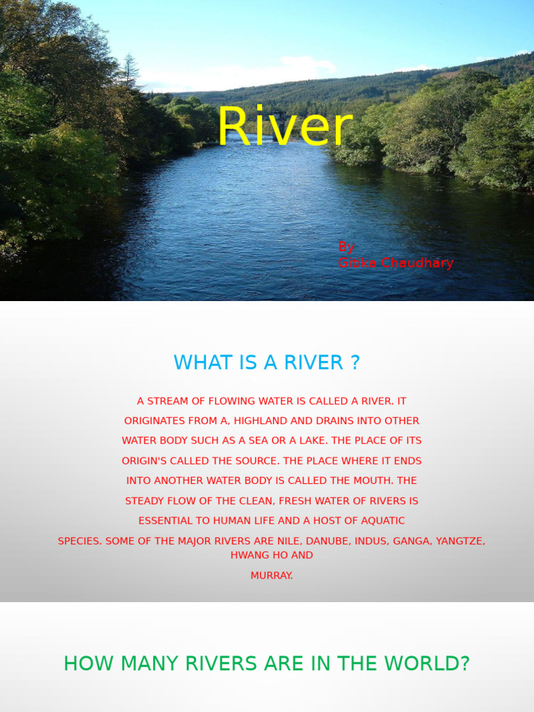 Rivers | PDF