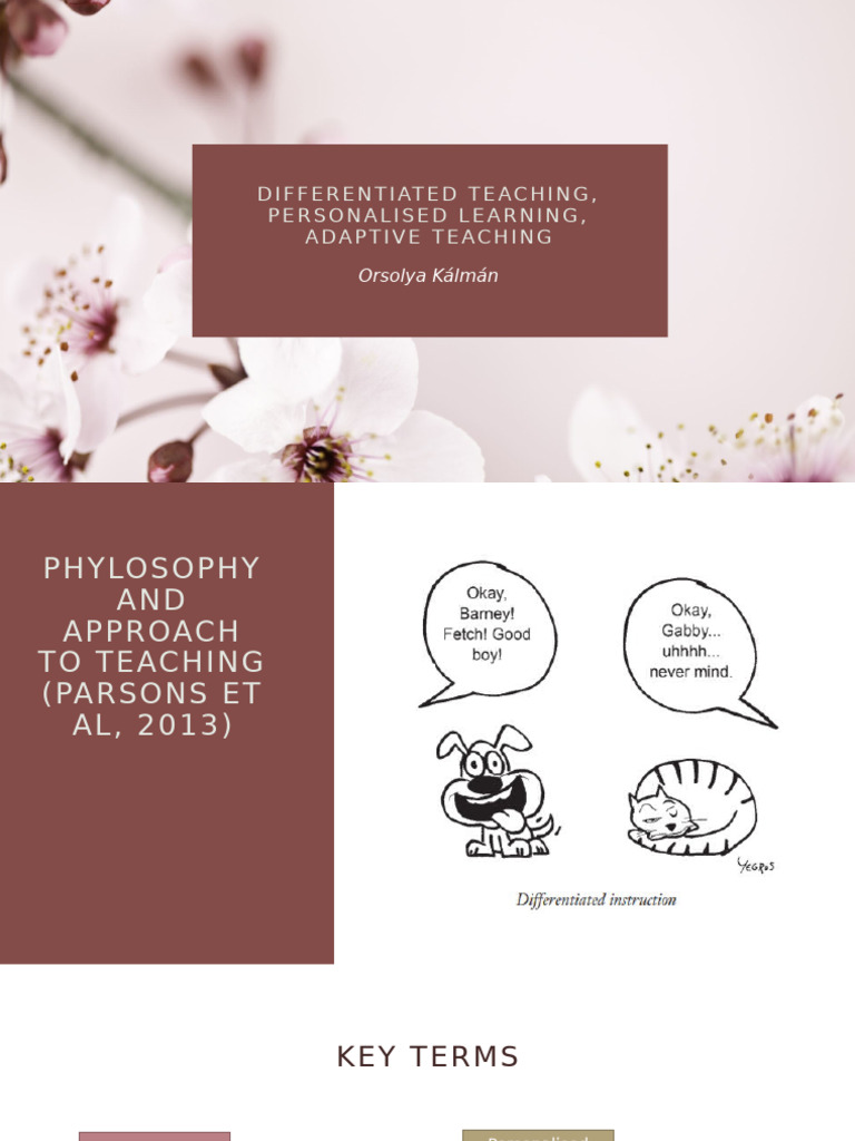 Differentiated and Adaptive Teaching Approaches | PDF | Differentiated ...
