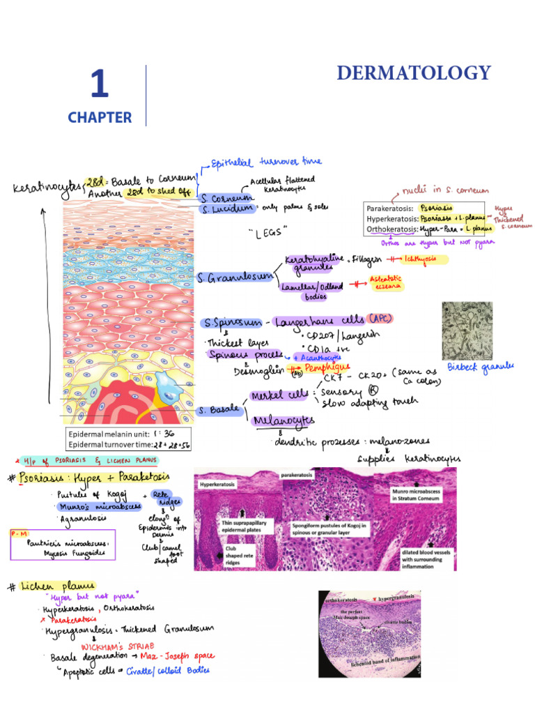 BTR Main With Bonus Compiled Annotated | PDF | Schizophrenia | Psoriasis