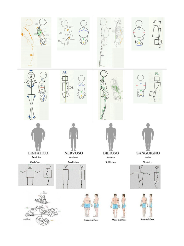 Comparativa Estructures | PDF