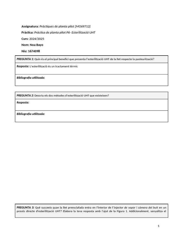 Plantilla Per Elaborar La Tasca de La Pràctica P6 - UHT | PDF